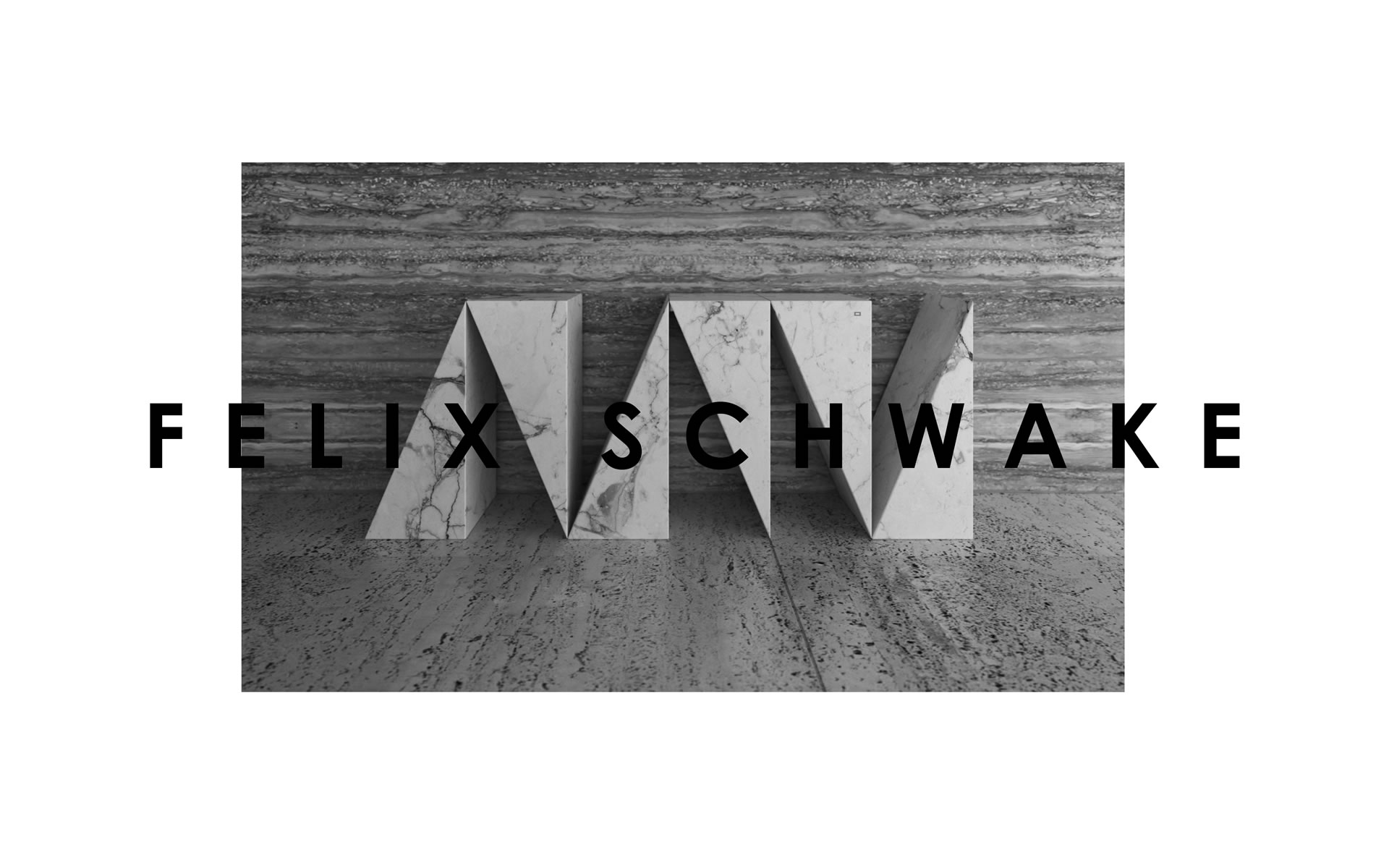 FELIX SCHWAKE