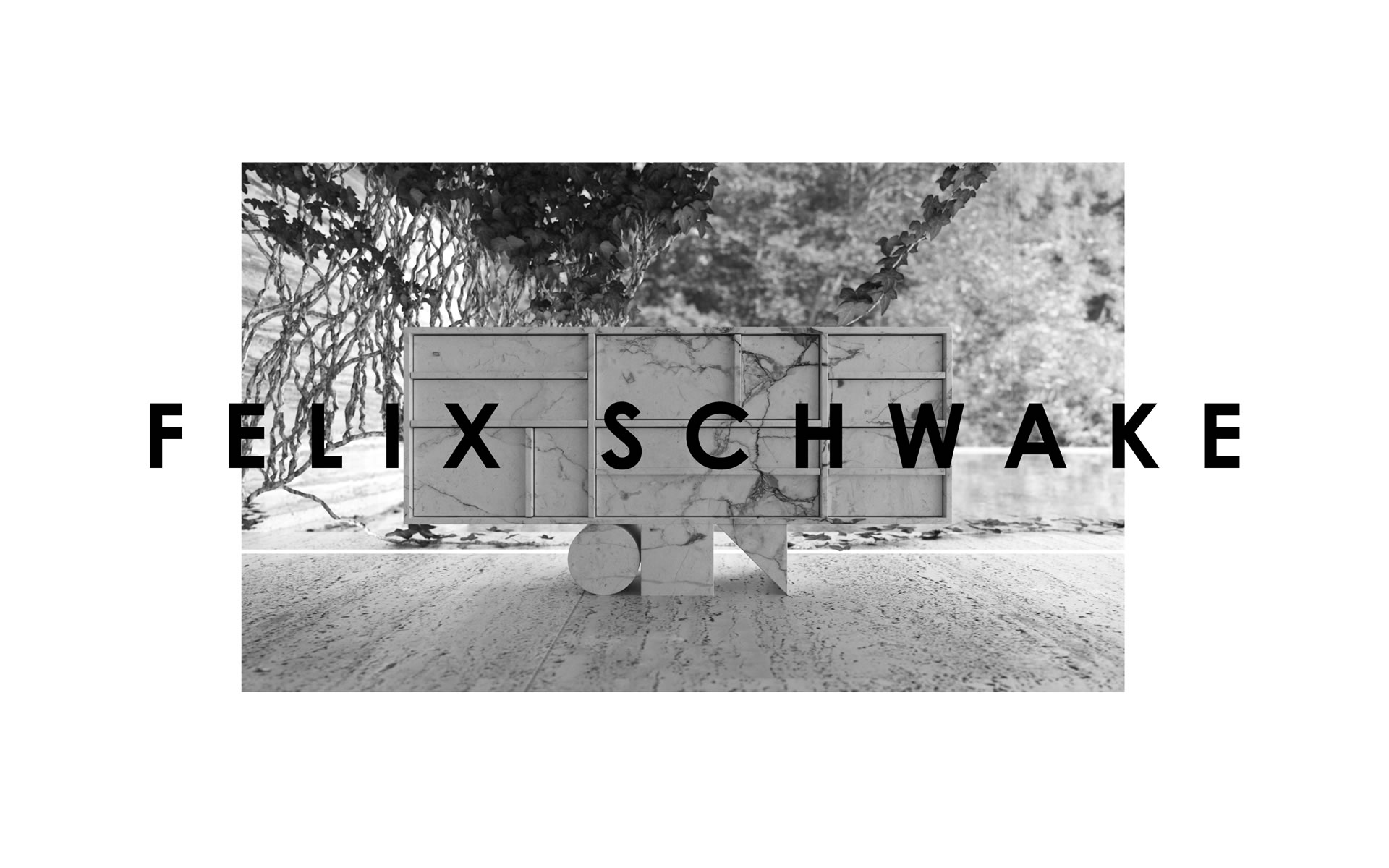 FELIX SCHWAKE