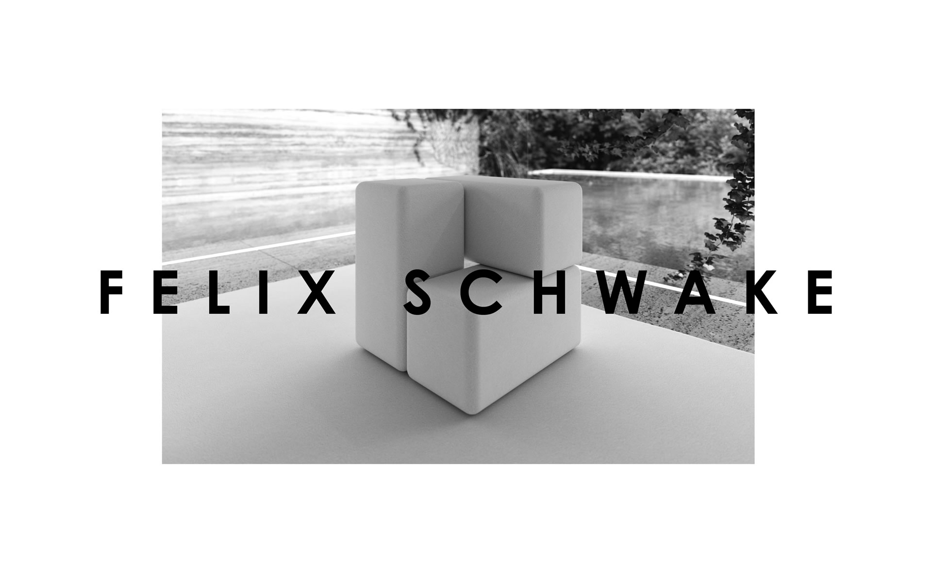 FELIX SCHWAKE